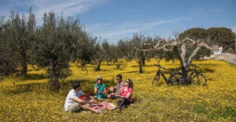 e-bike ring tour between Locorotondo and Martina Franca - What’s Included and What to Expect