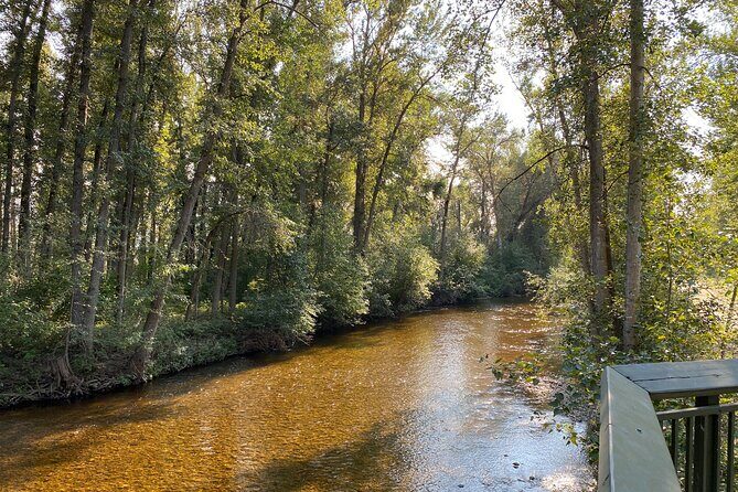 E-Bike Salmon Adventure - What Could Be Improved?