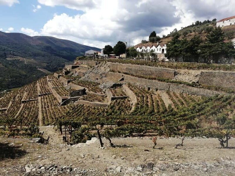 e-Bike Through Douro Valley Wine Region for Half Day Tour - Why Choose an e-Bike in Douro?