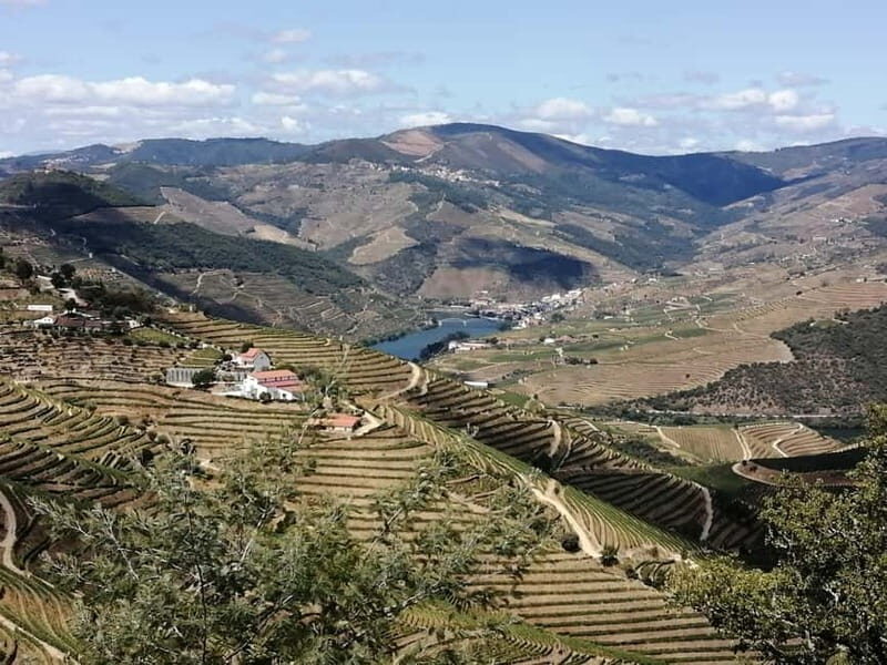 e-Bike Through Douro Valley Wine Region for Half Day Tour - What’s Included and What’s Not