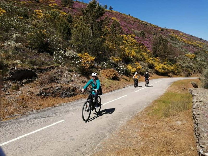 e-Bike Through Douro Valley Wine Region for Half Day Tour - Customization and Flexibility