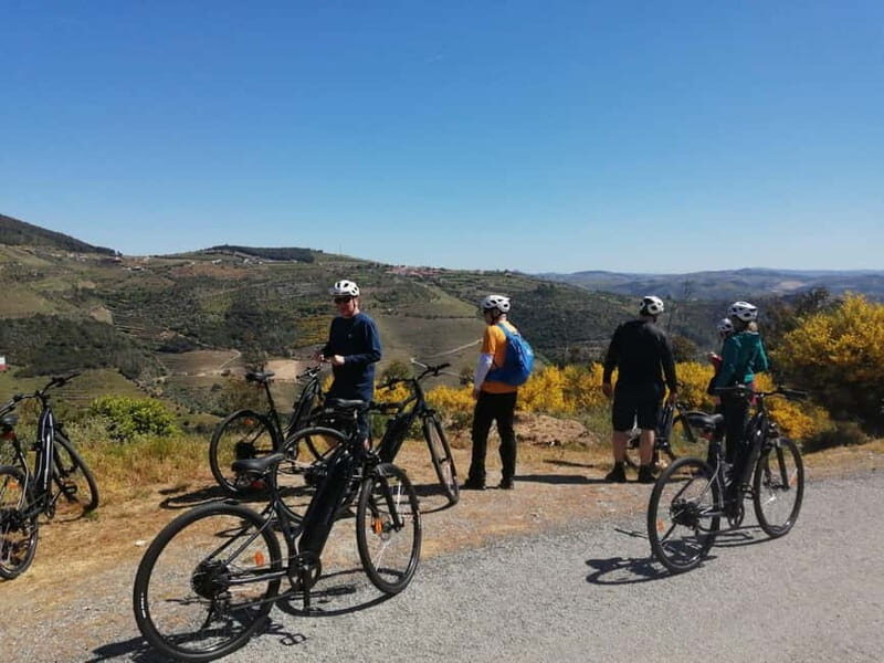 e-Bike Through Douro Valley Wine Region for Half Day Tour - What Travelers Say