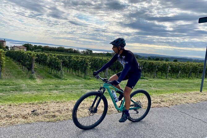 E-Bike tour and Wine tasting from Desenzano Inland - Key Points