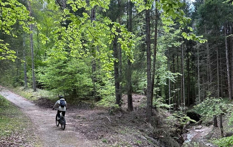 E-BIKE TOUR & Flavours at Fausior Mount - Key Points