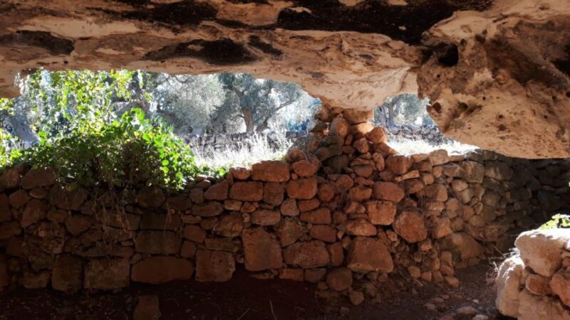E-bike tour from Monopoli to the rocky village of St. Andrew - Final Summary