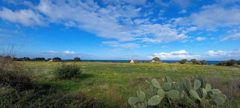 e-Bike tour from Polignano a Mare to S.Vito fishing village - The Sum Up