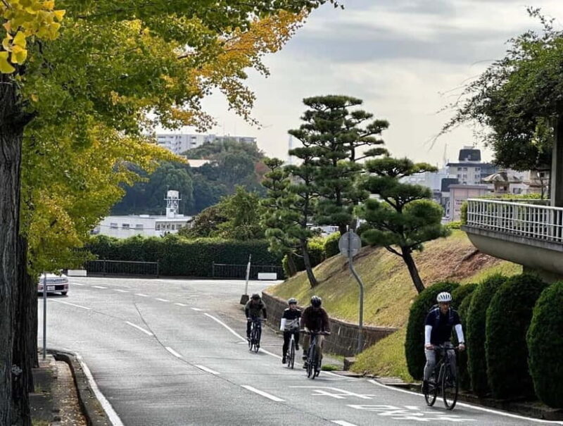 e-bike tour Himeji Castle Town along the old roads - Discovering Himeji on Two Wheels: An In-Depth Review