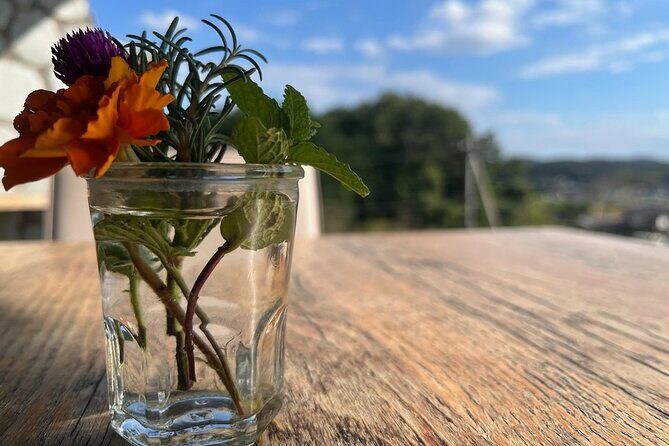 E-bike tour in the country side of Saitama near Tokyo - What Travelers Say