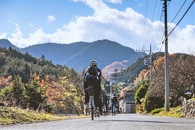 E-bike tour in the country side of Saitama near Tokyo - Final Thoughts