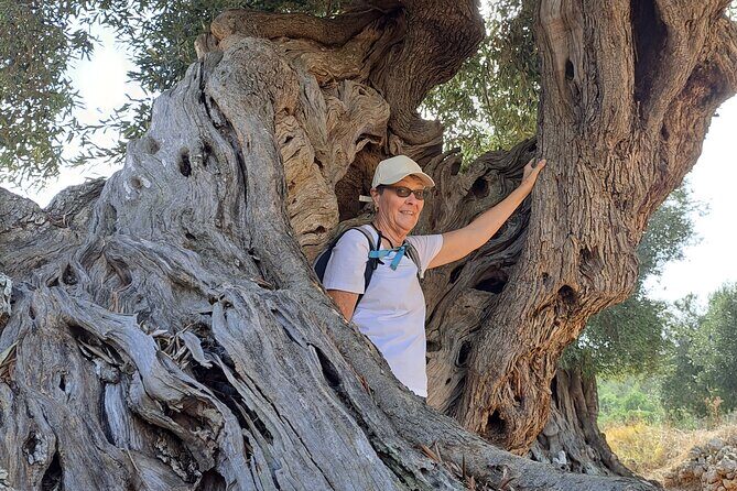 e-bike tour in the plain of the secular olive trees of Ostuni - Discover the Charm of Ostunis Olive Groves on a Guided E-Bike Tour