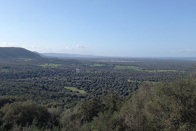 e-bike tour in the plain of the secular olive trees of Ostuni - Who Will Enjoy This Tour?