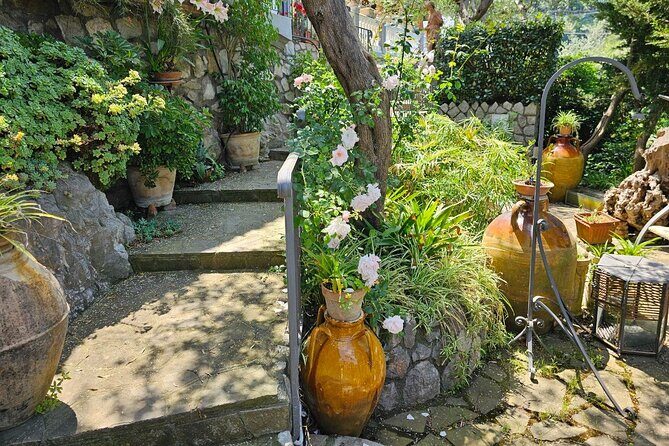 E-Bike Tour in the Sorrento Peninsula and Visit to Acetaia - Practical Details and Considerations