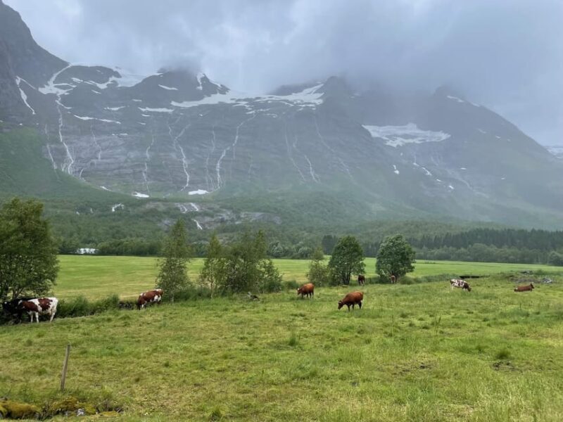 E-bike tour of Hellesylt to Norangsdalen - Frequently Asked Questions