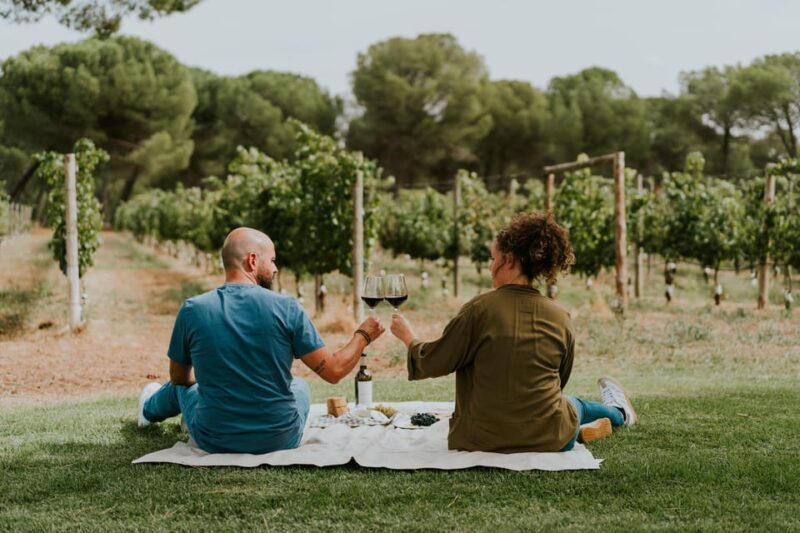 E-bike tour & Picnic in an Exclusive winery Estate - Exploring the E-bike & Picnic Tour at an Exclusive Winery Estate in Castile and León