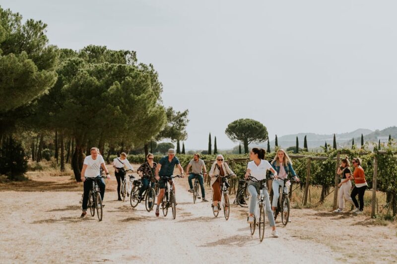 E-bike tour & Picnic in an Exclusive winery Estate - Authenticity and Value