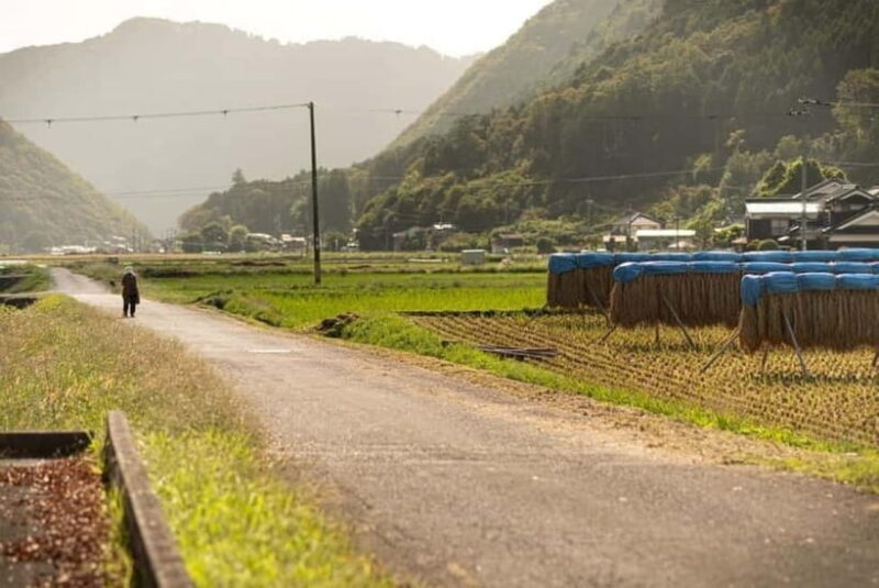 e-bike tour Shis Region with Sake Brewery Tour - Discovering the Shis Region: An E-Bike and Sake Adventure