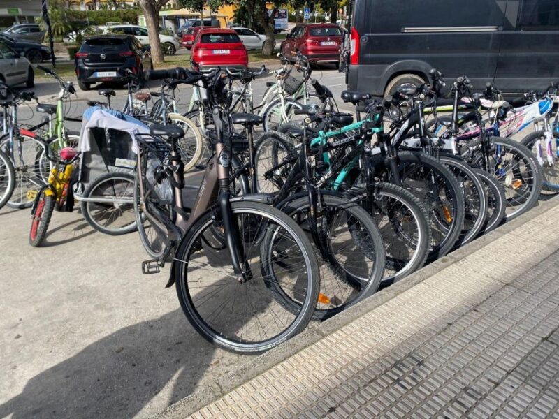 E-Bike Tour through Marbella/ Puerto Banús and San Pedro - Key Points
