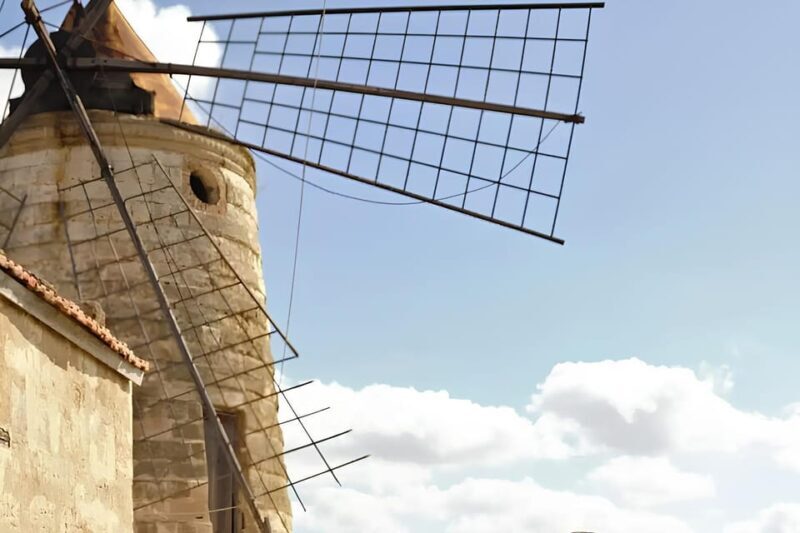E-bike tour to the salt pans of Trapani - 3 hours - Practical Information & Tips