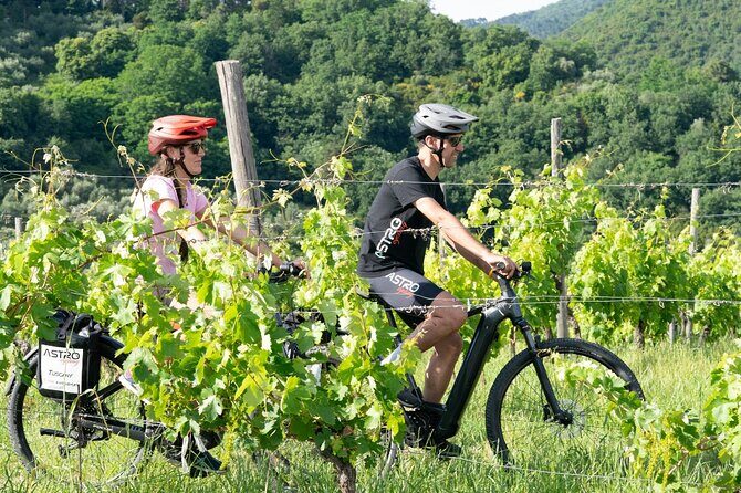 E-bike tour with tasting in the hills of Lucca - Key Points