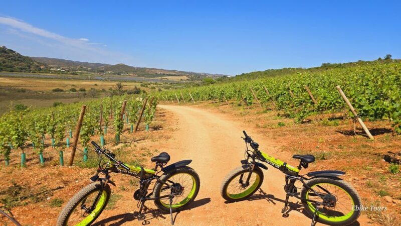 E-bike Tours Carvoeiro - Castelo Silves - Key Points