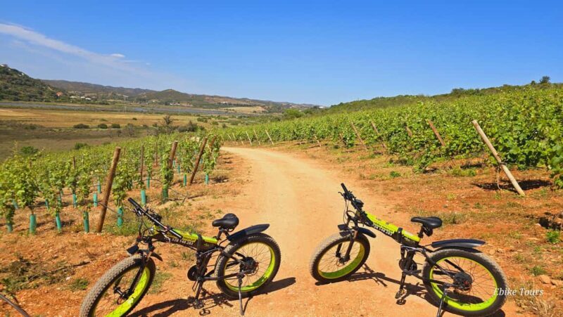 E-bike Tours Carvoeiro - Silves Tour - Visit to Silves Castle