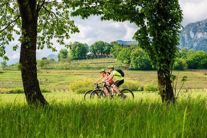 E-bike Vipava River Tour - An In-Depth Look at the Vipava River E-bike Tour