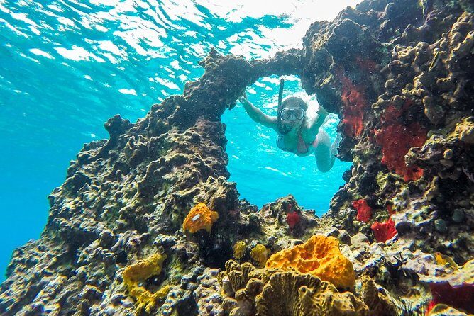 E-bike West Coast Snorkeling Tour - What You Get and What to Keep in Mind