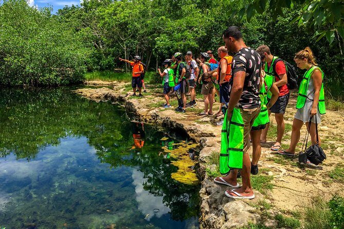 E-bike West Coast Snorkeling Tour - Who Should Consider This Tour?