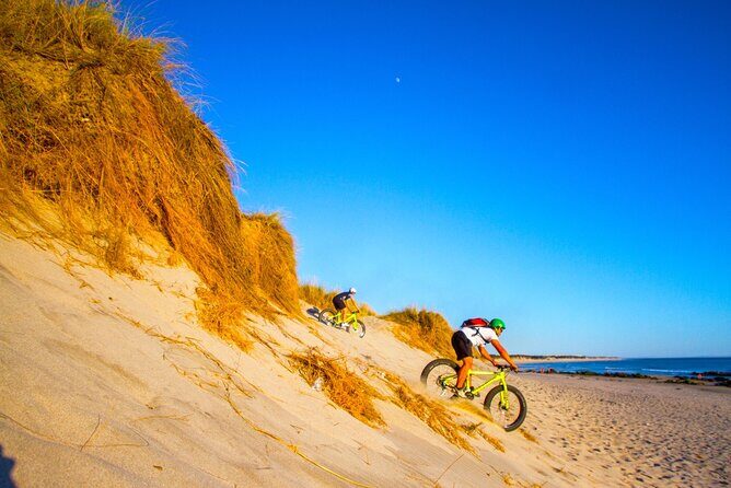 E-Bike Wild Experience with Transport from Porto and Braga - What the Experience Feels Like