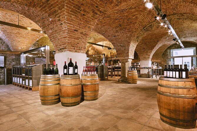E-Bike Wine Culture Tour - Final Thoughts
