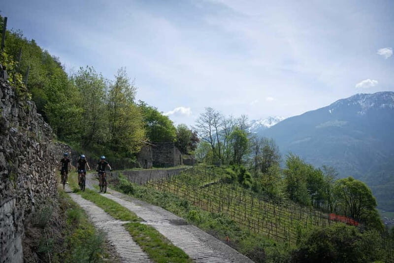 E-Bike Wine Tour with Indomita - What to Expect and Practical Tips