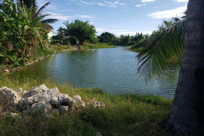 E-bikes Experience in St Philip - Practical Details Worth Knowing