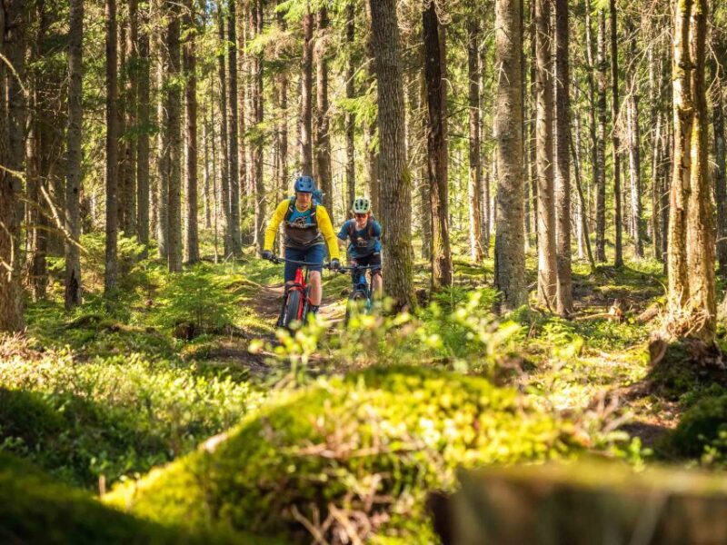 E-FatBike experience in small groups - Exploring Rovaniemi on an E-FatBike: What to Expect