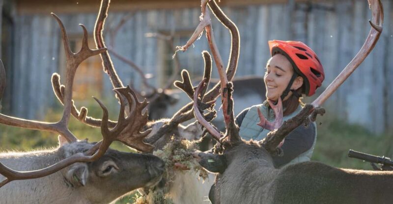 E-FATBIKE TRIP TO THE REINDEER FARM - Discovering Lapland by Bike: A Unique Way to Connect with Nature