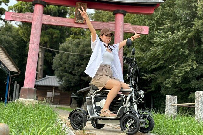 E-Kart Without Driver's License Can be driven on Public roads - FAQs