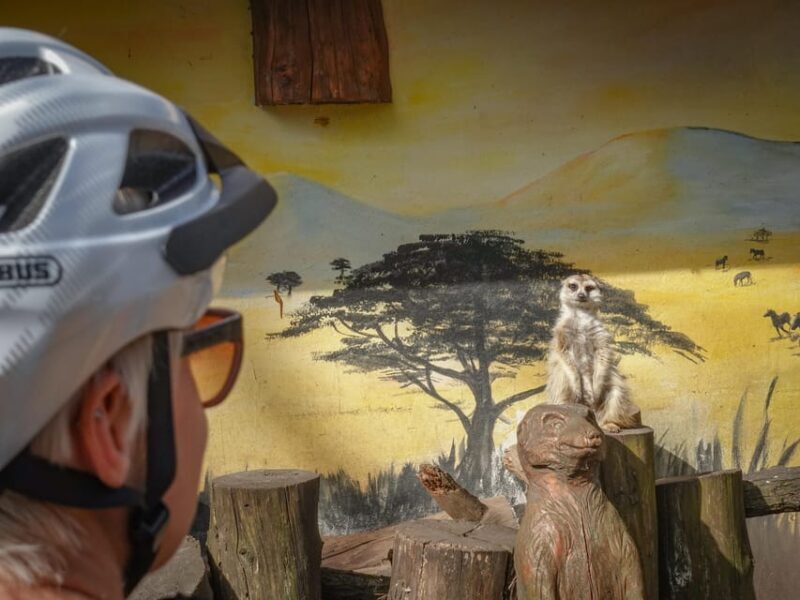 E-Mountain Bike Adventure in the Danube Bend - Authentic Experiences and Authenticity