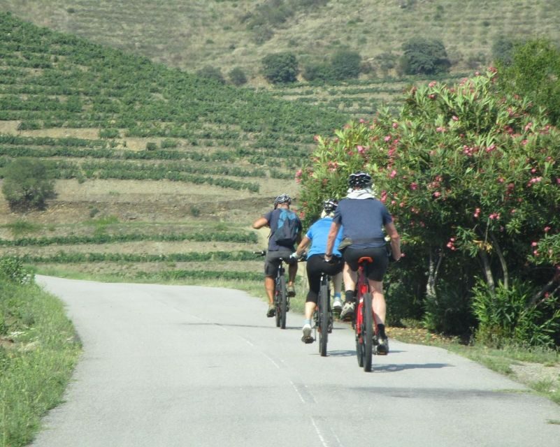 E-MTB - Vineyards Douro Tour - The Practical Details