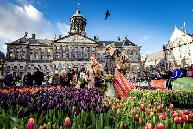 e-Scavenger hunt Amsterdam: Explore the city at your own pace - Authentic Traveler Feedback
