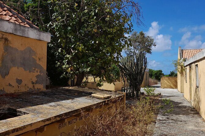 e-Scavenger hunt by car or scooter: 'Explore the Rincon Valley' - Starting Point: Oil Slick Leap and First Stops