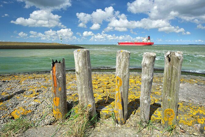 e-Scavenger hunt Terneuzen: Explore the city at your own pace - Highlights of the Itinerary