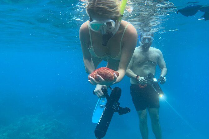 E-Scooter Snorkel With Photo and Video At Turtle Town - Marine Encounters and Wildlife