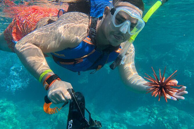 E-Scooter Snorkel With Photo and Video At Turtle Town - Authentic Experiences Confirmed by Reviews