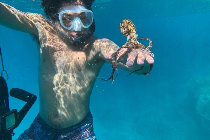 E-Scooter Snorkel With Photo and Video At Turtle Town - Potential Drawbacks and Considerations