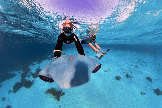 E-Snorkeling tour in Bonaire with easy Sea Scooters - The Itinerary: A Closer Look