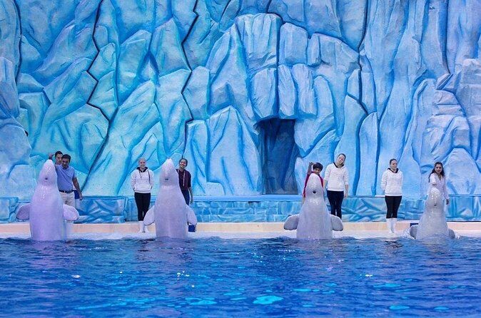 E-Ticket: Zhuhai Chimelong Ocean Kingdom, Circus & Penguin Hotel 1-night Coupon - Diving into the Experience: The Details That Matter