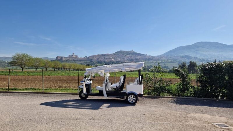 E - Tuk Panoramic Tour Assisi with audio guides - Who Will Love This Tour?