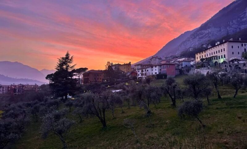 E.V.O. oil of lake Como + food pairings - Who Should Consider This Tour?