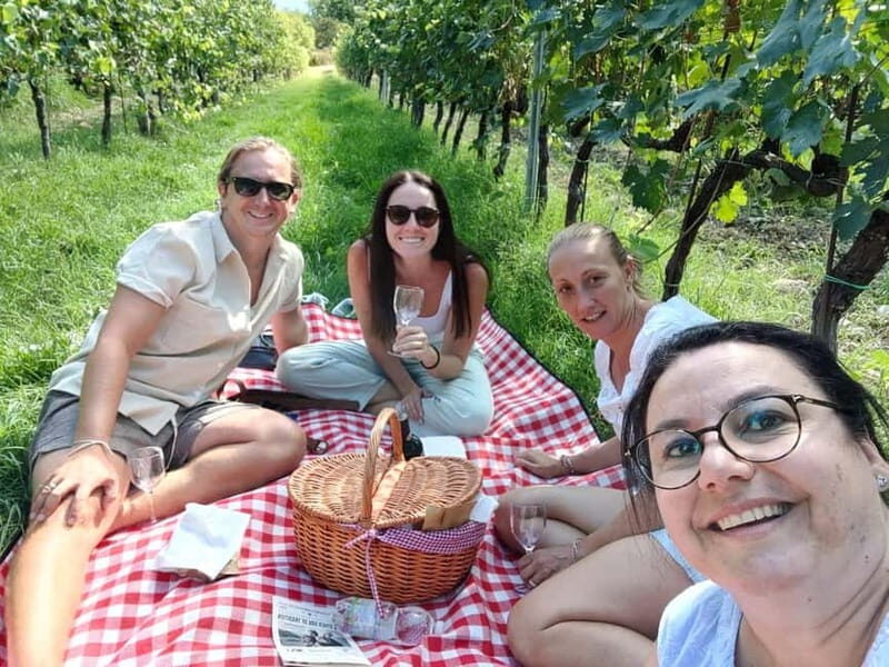 E-Vespa Tour in the Chianti and Pic Nic Lunch - The Farm and Picnic in Chianti