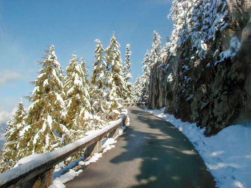 Eagle's Nest and Berchtesgaden Tour from Salzburg - Authentic Experiences and Real Guest Feedback