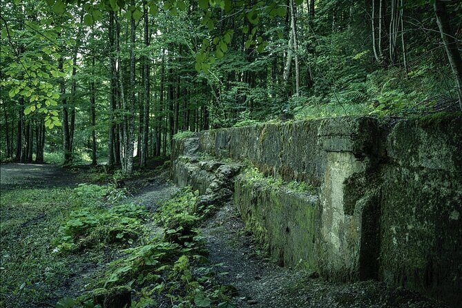 Eagle's Nest-Berchtesgaden-Obersalzberg Private Half Day WWII Historical Tour - In-Depth Look at the Experience